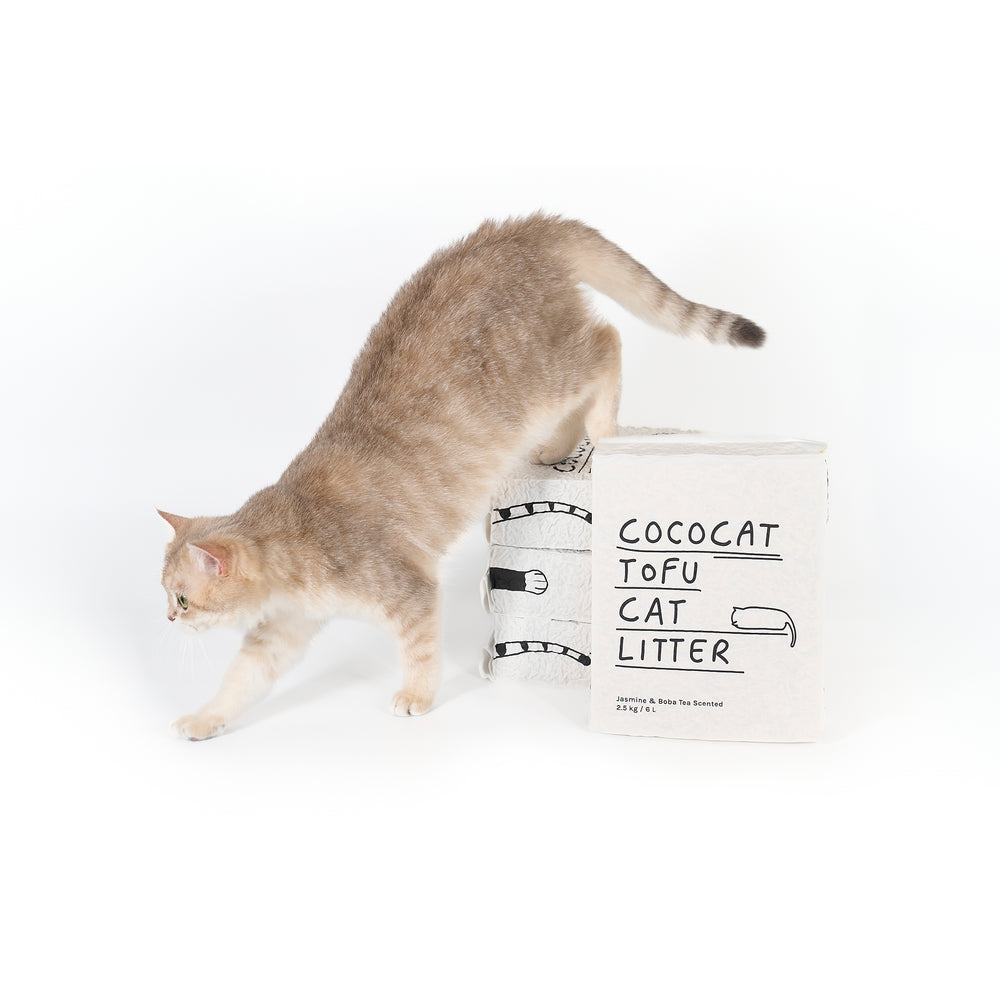 Cococat - Every cat deserves love