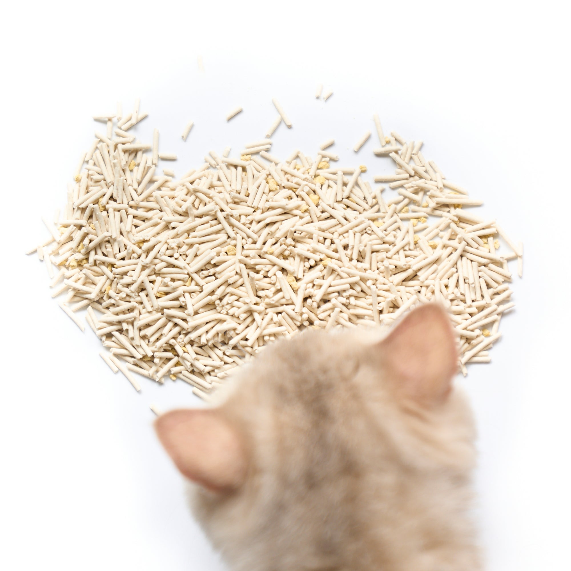 Cococat Biodegradable Tofu Cat Litter With Millet