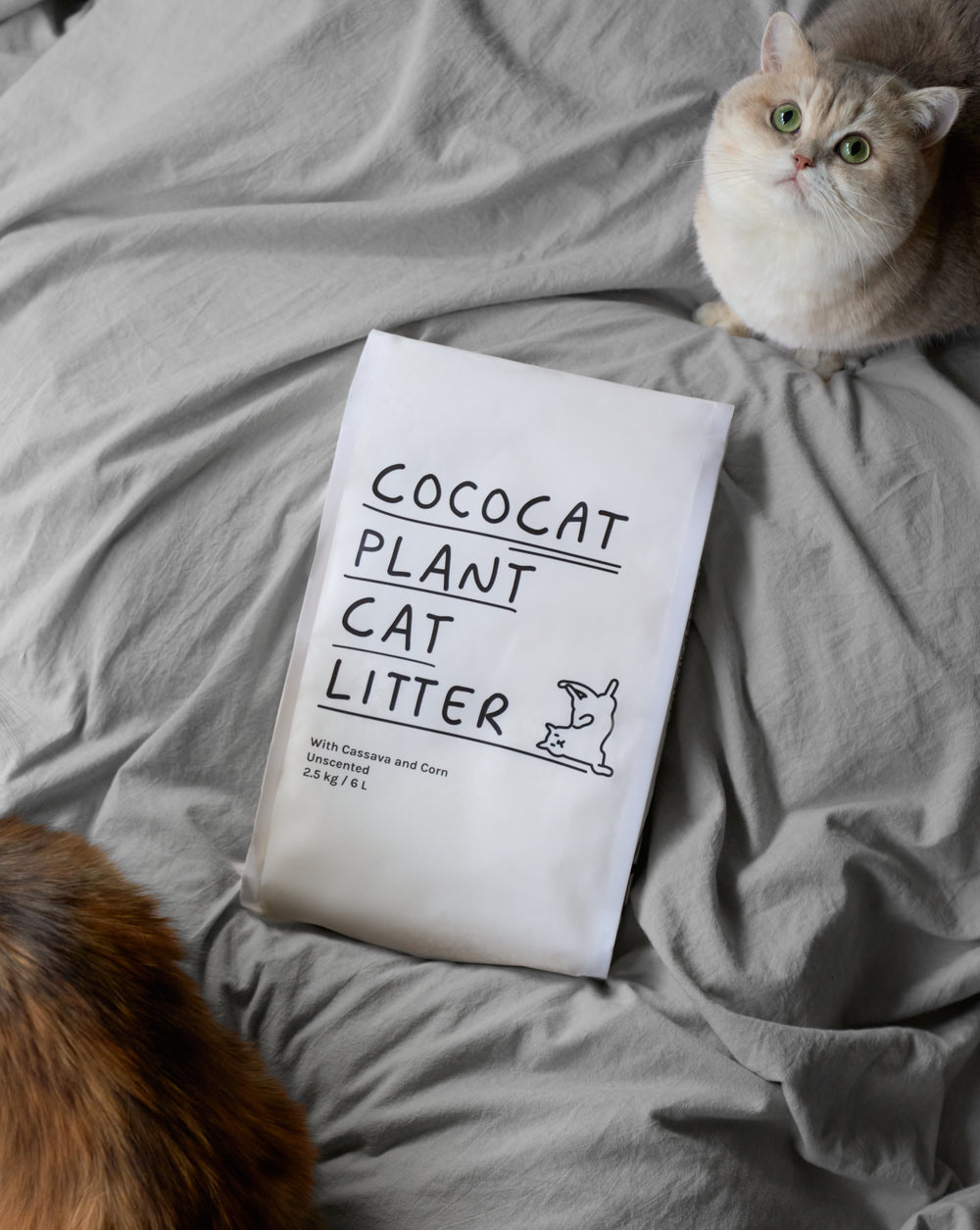 Cococat - Every cat deserves love