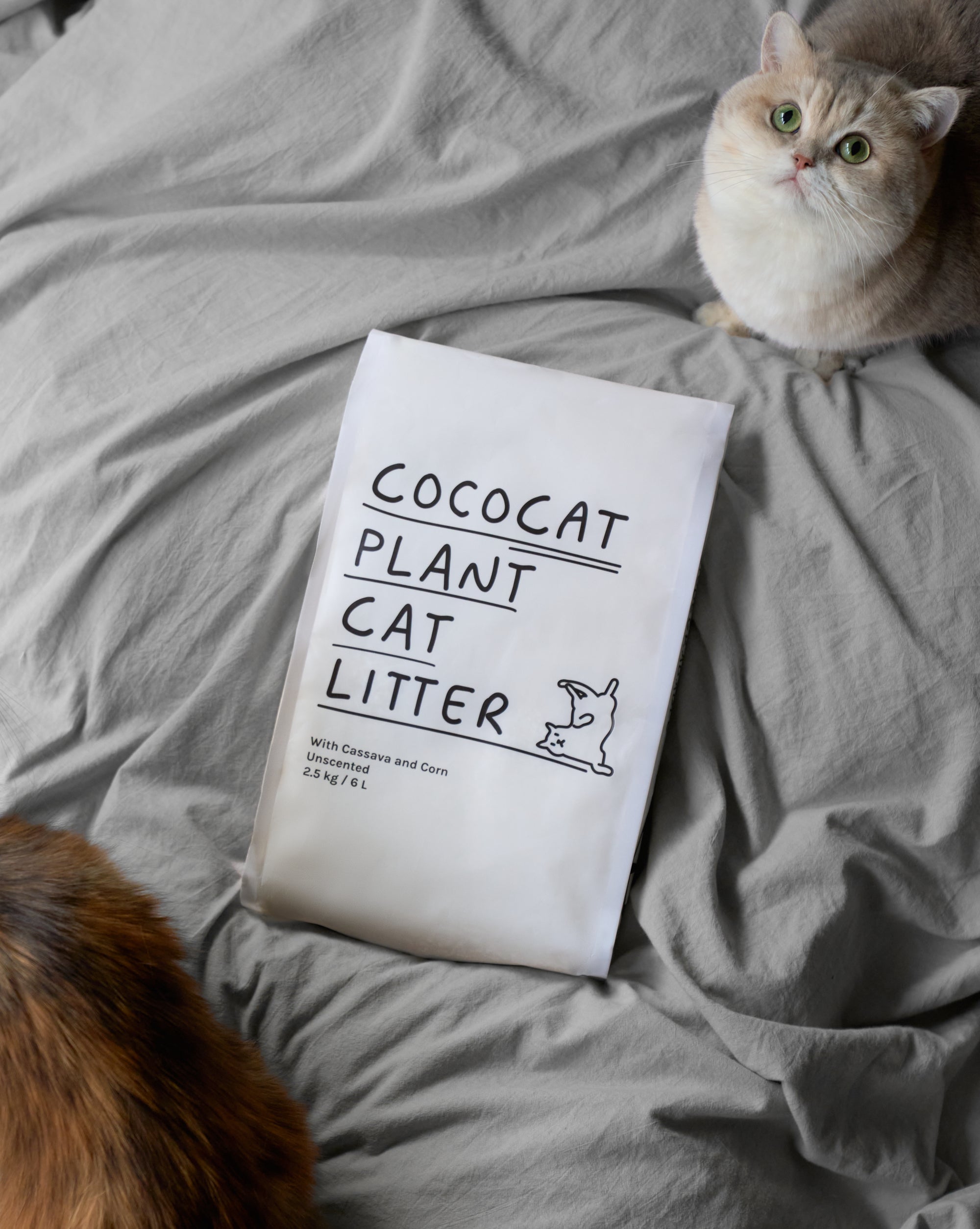 Cococat - Every cat deserves love