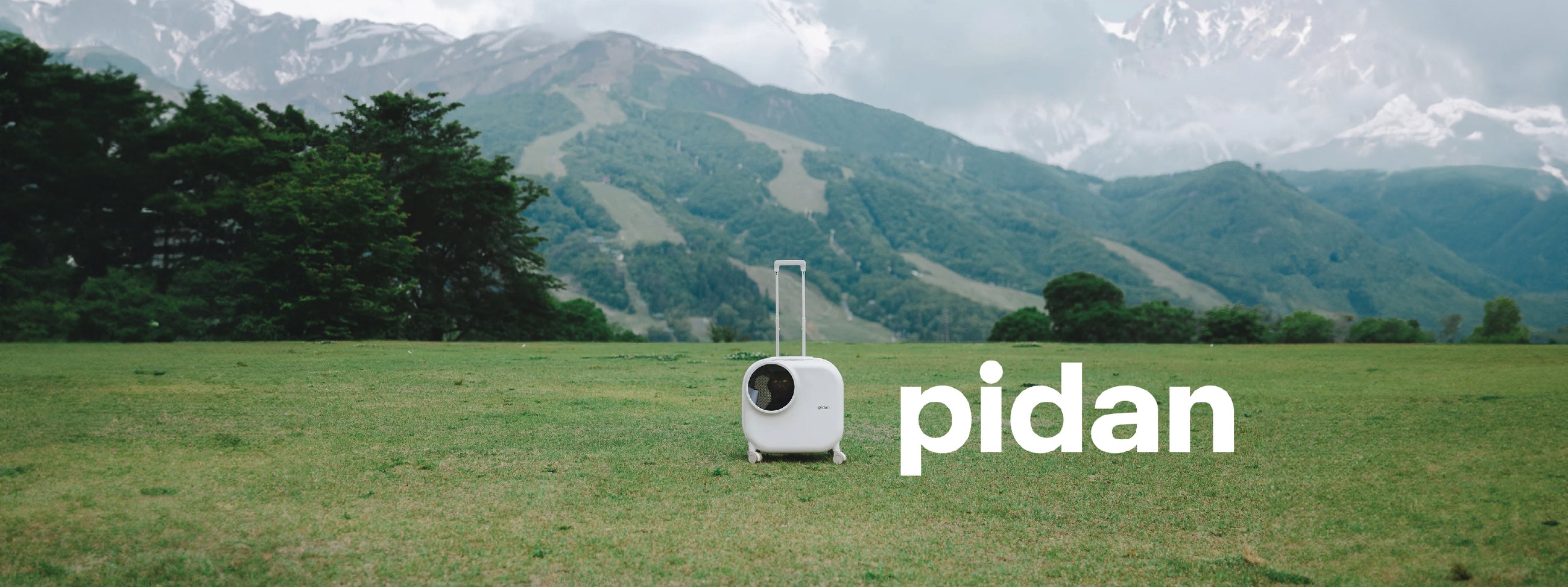 Cococat - Every cat deserves love